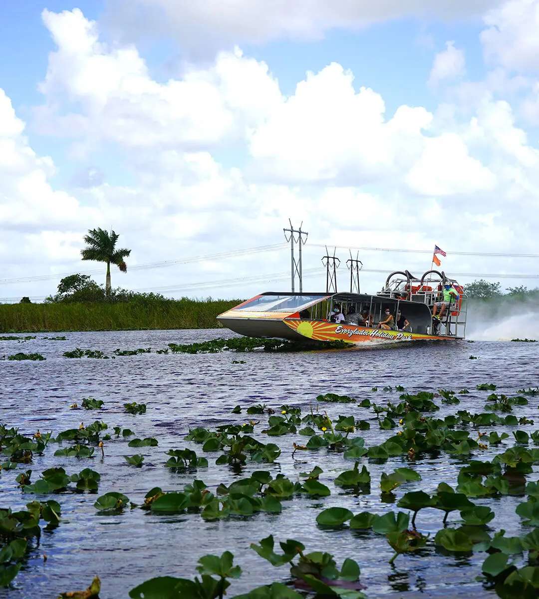 Group Airboat Tour | Everglades Holiday Park