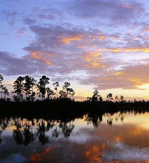 Decades Of Restoration Work – The Everglades Bridge That Changed it All ...
