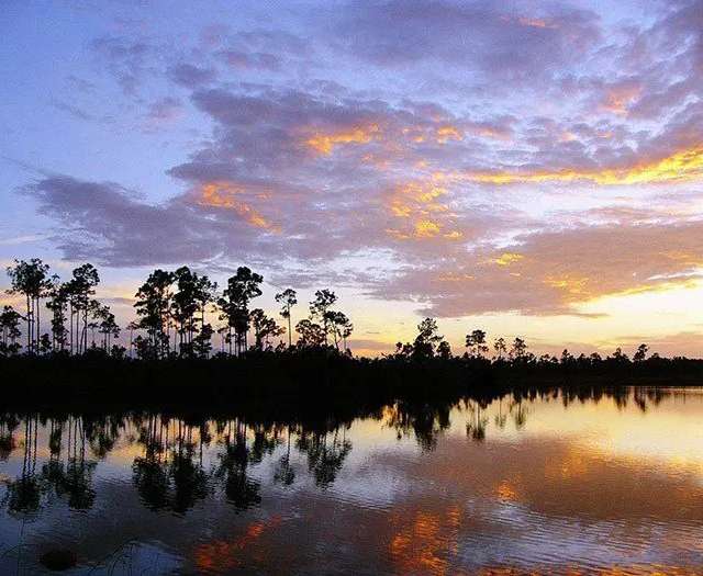 Decades Of Restoration Work – The Everglades Bridge That Changed it All ...